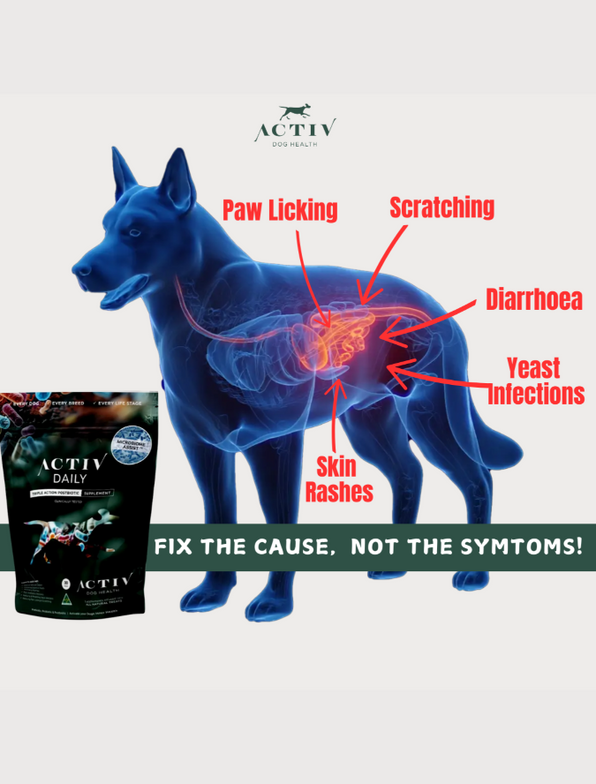 Products – Activ Dog Health