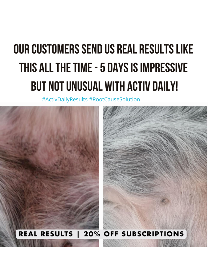 Activ Daily Triple Action Postbiotic Supplement – Activ Dog Health