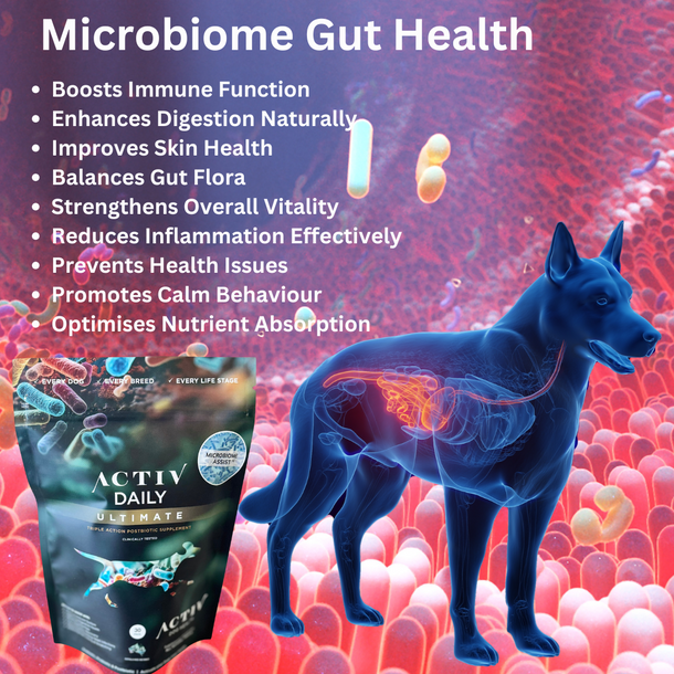 Activ Daily – ULTIMATE. Triple Action Postbiotic Supplement – Activ Dog ...