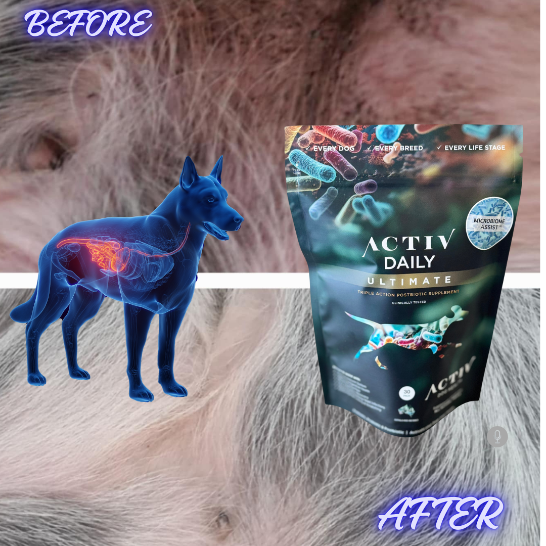 Activ Daily – ULTIMATE. Triple Action Postbiotic Supplement – Activ Dog ...