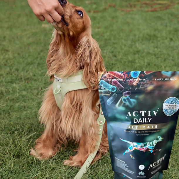 Activ Daily – ULTIMATE. Triple Action Postbiotic Supplement – Activ Dog ...