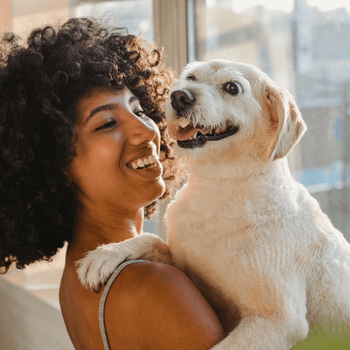Activ Daily – ULTIMATE. Triple Action Postbiotic Supplement – Activ Dog ...