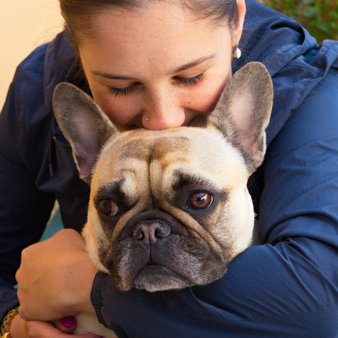 Activ Mist: Daily Postbiotic Microbiome Conditioner – Activ Dog Health